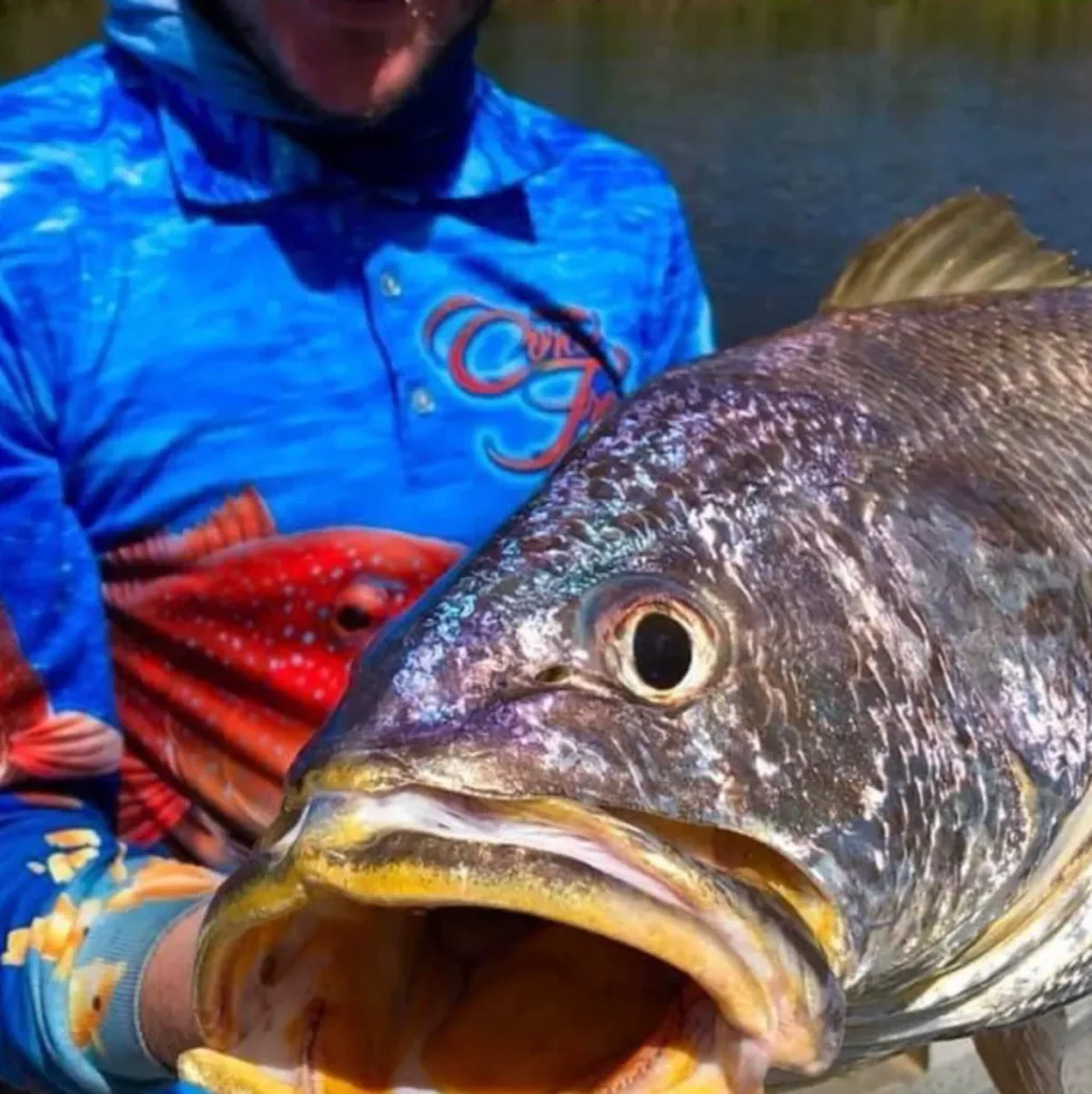Fishing in Kakadu: Best Spots and Tips for a Successful Catch